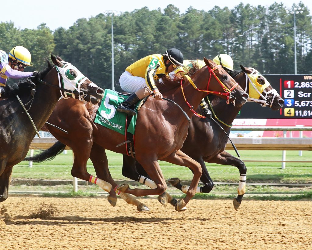News & Stories | Virginia Equine Alliance