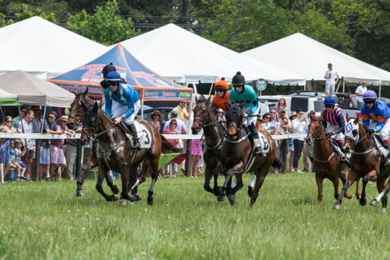 Tickets on sale now for Foxfield Fall Races October 5 in ...